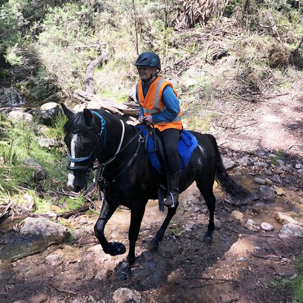 Trail Riding Australia - Australian Trail Horse Riders Association
